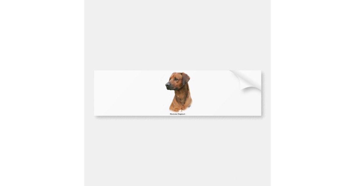 Rhodesian Ridgeback Bumper Sticker | Zazzle