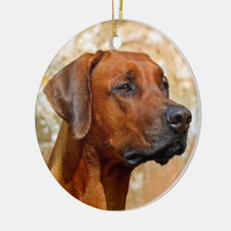 Rhodesian Ridgeback Ceramic Ornament | Zazzle