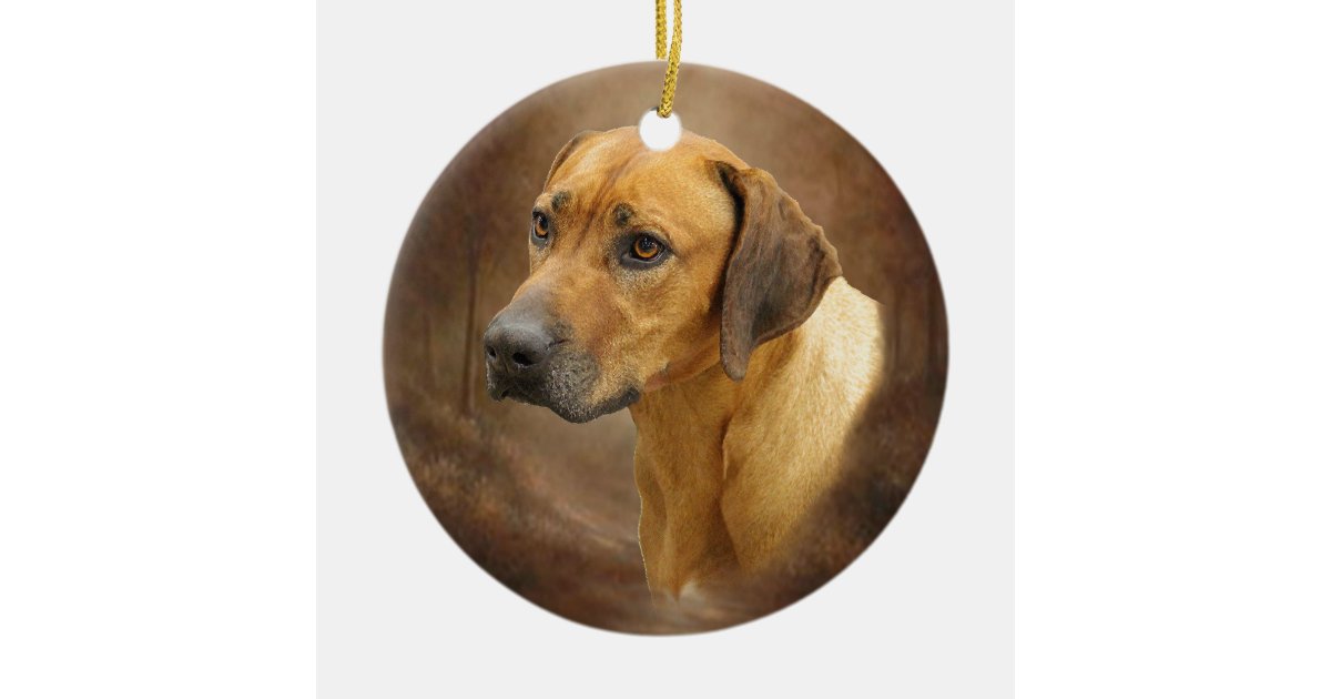 Rhodesian Ridgeback Ceramic Ornament | Zazzle