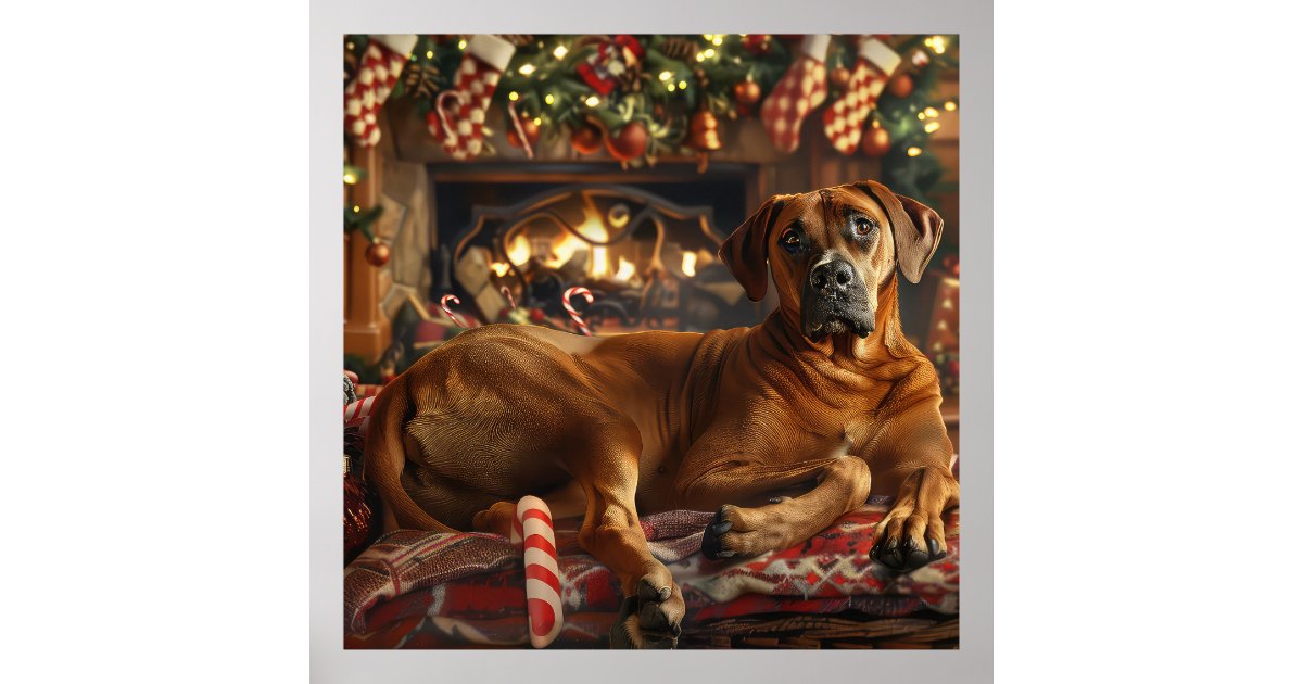 Rhodesian Ridgeback Dog Christmas Festive Poster | Zazzle