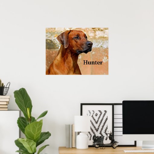 Rhodesian Ridgeback Dog Poster | Zazzle