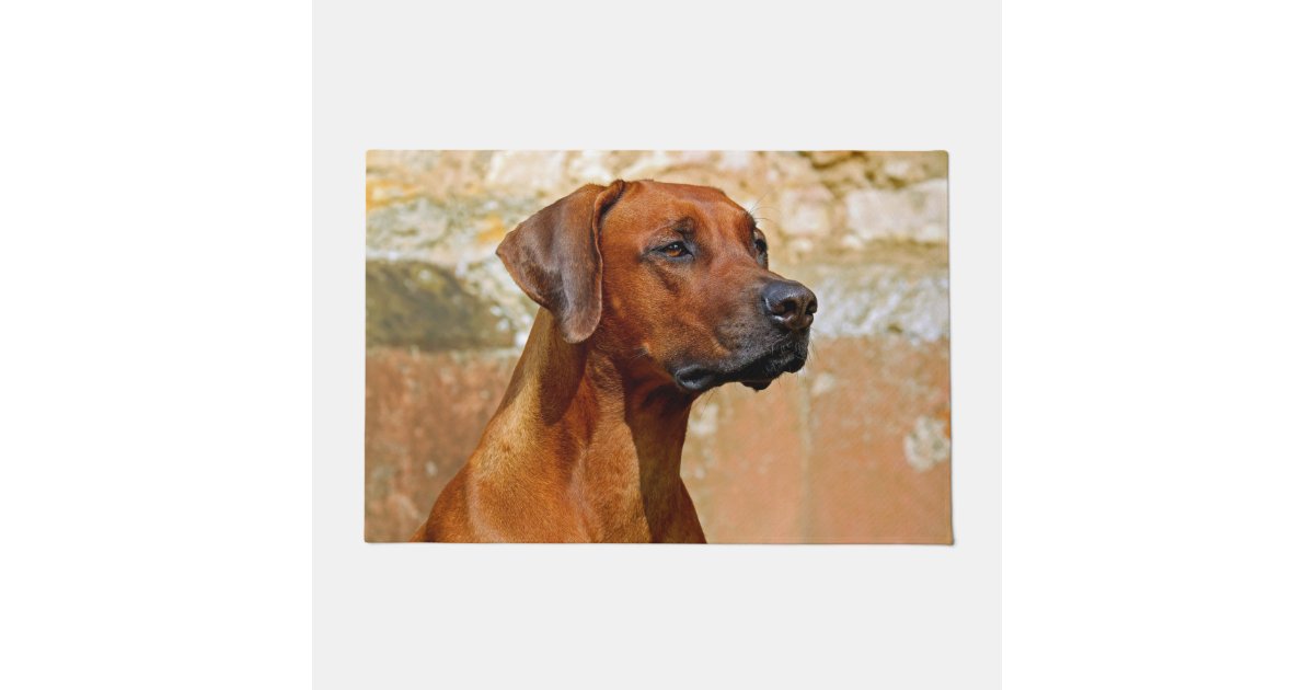 Rhodesian ridgeback doormat | Zazzle
