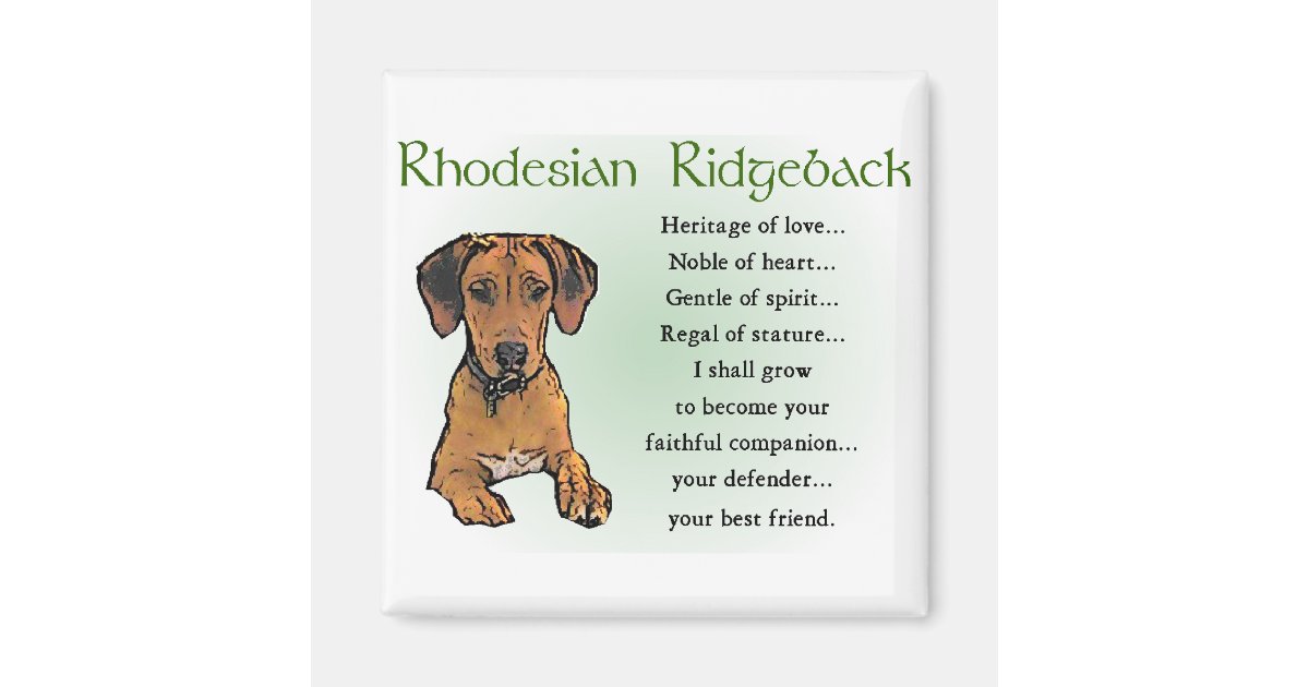 Rhodesian Ridgeback Gifts Magnet | Zazzle