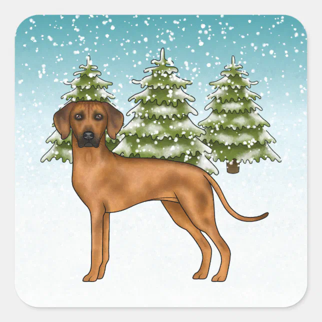 Rhodesian Ridgeback Lion Dog Snowy Winter Forest Square Sticker | Zazzle