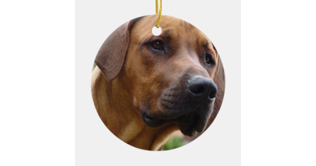 Rhodesian Ridgeback Ornament | Zazzle