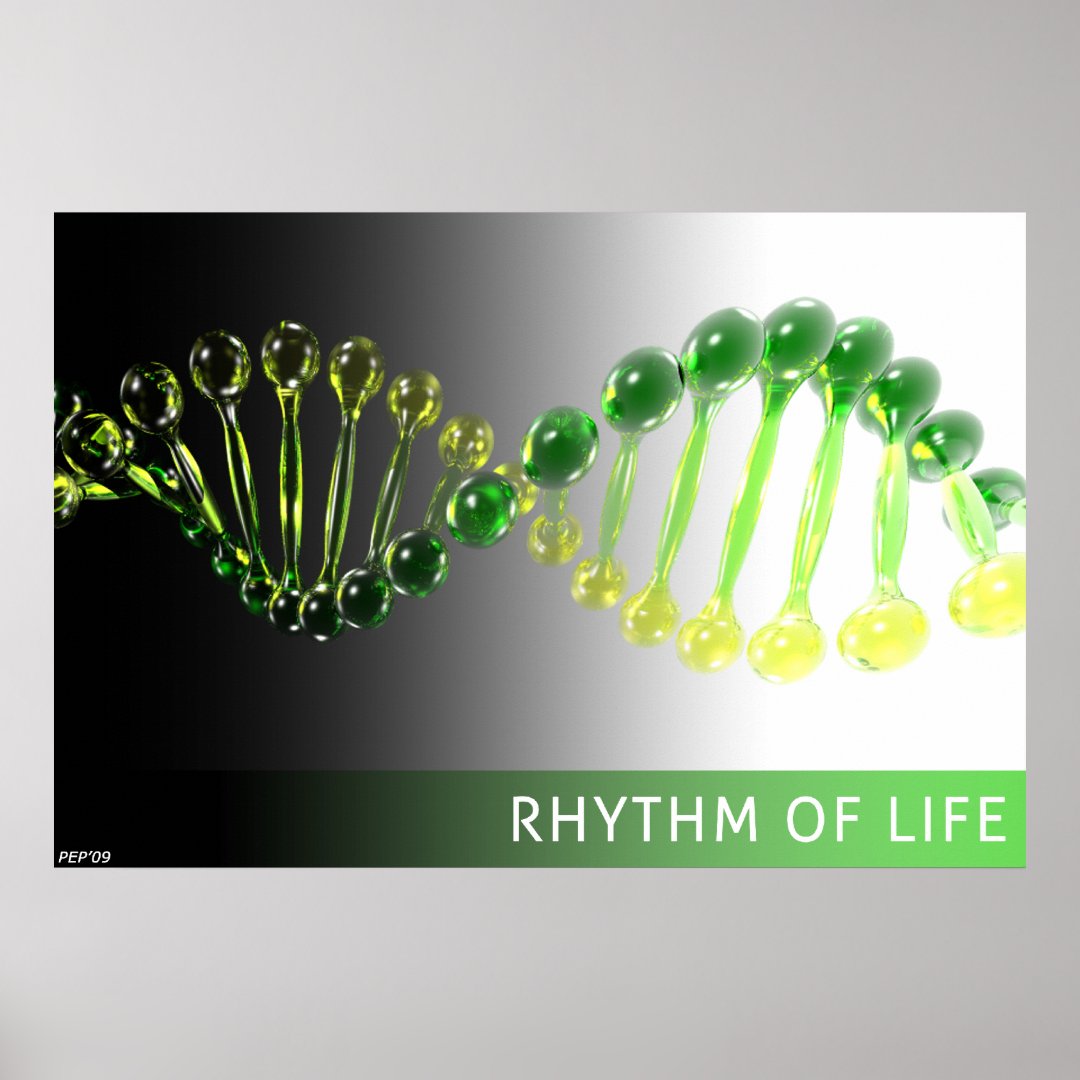 Rhythm of Life Poster | Zazzle