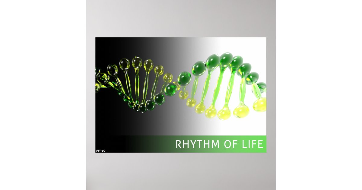 Rhythm of Life Poster | Zazzle