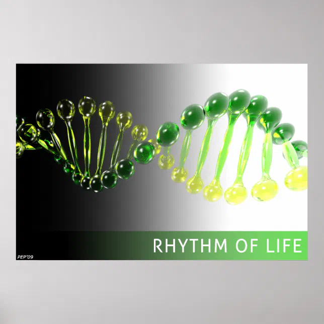 Rhythm of Life Poster | Zazzle