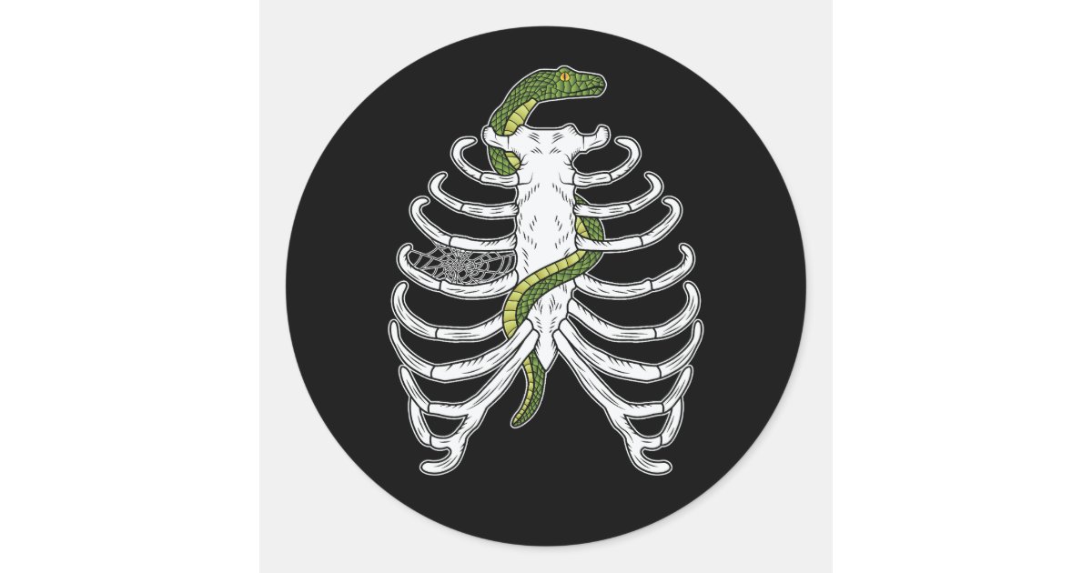 Rib Cage Skeleton Bones With Green Snake Halloween Classic Round ...