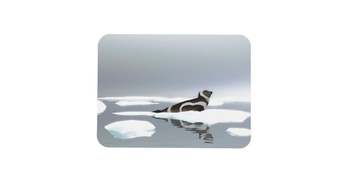 Ribbon Seal On Ice Magnet | Zazzle