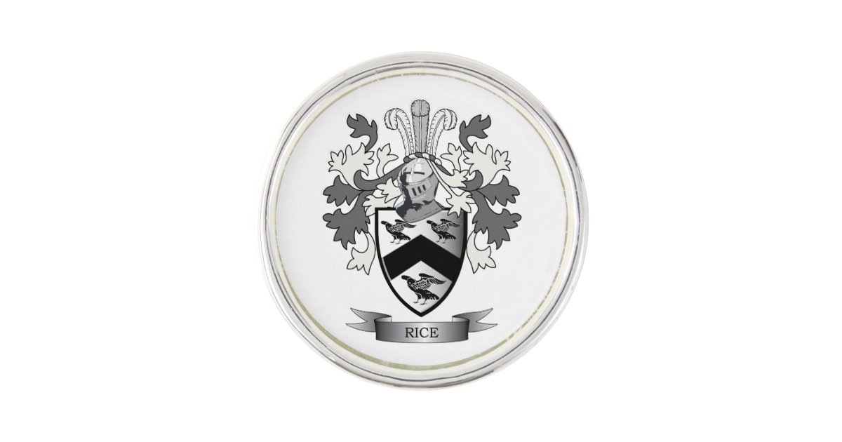 Rice Family Crest Coat of Arms Lapel Pin | Zazzle