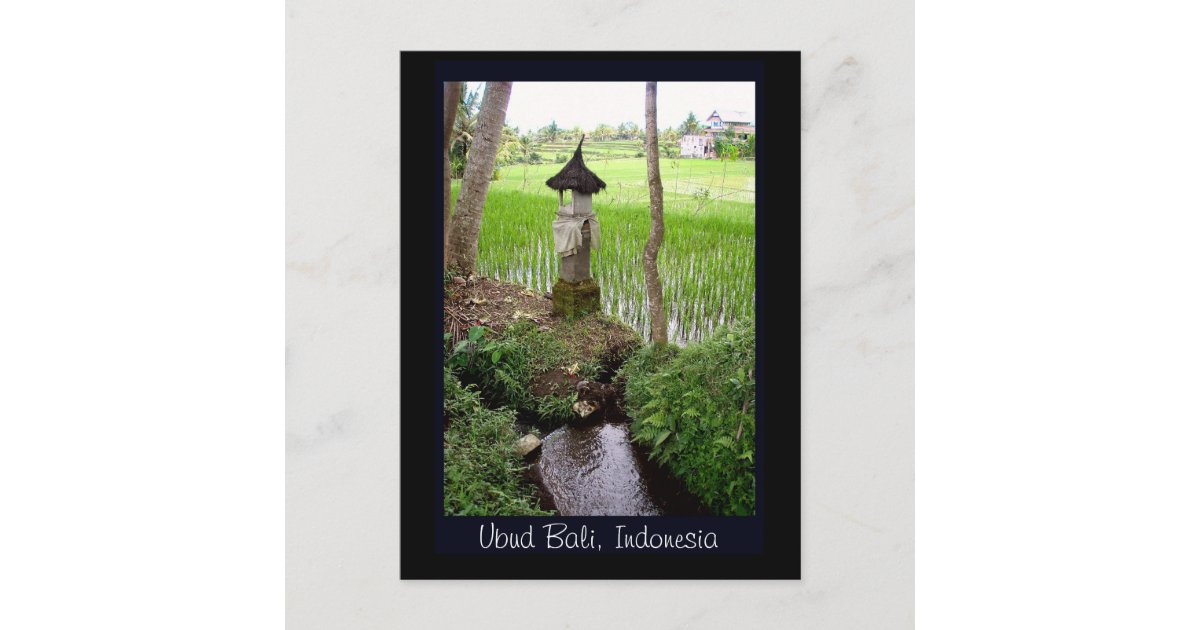 Rice Paddy, Temple, Ubud Bali, Indonesia Postcard | Zazzle