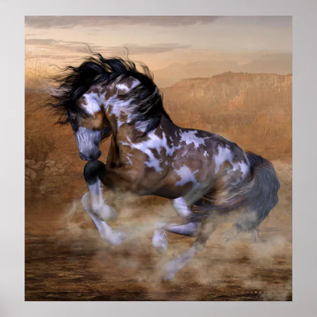 Ride a Painted Pony Poster | Zazzle