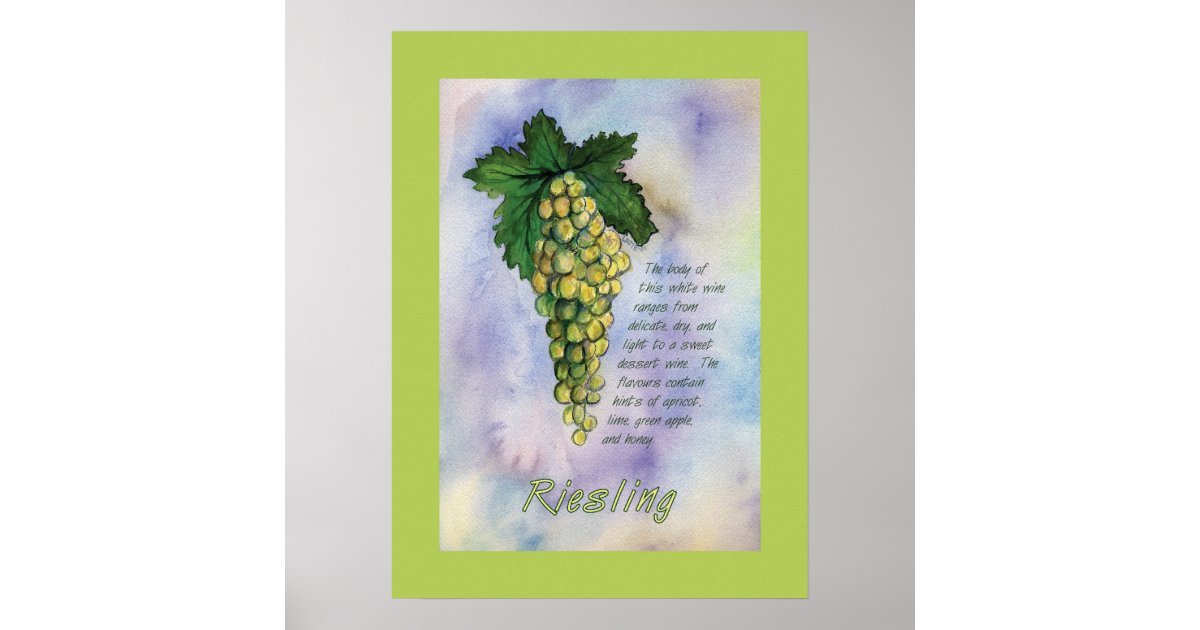 Riesling Wine Grapes Poster | Zazzle
