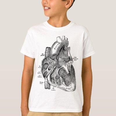 Anatomy Shirts