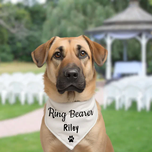 Ring Bearer Wedding Dog Pet Bandana Collar | Zazzle
