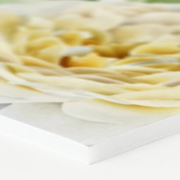 Ring Ceremony Welcome Signs & Roka Ceremony sign | Zazzle