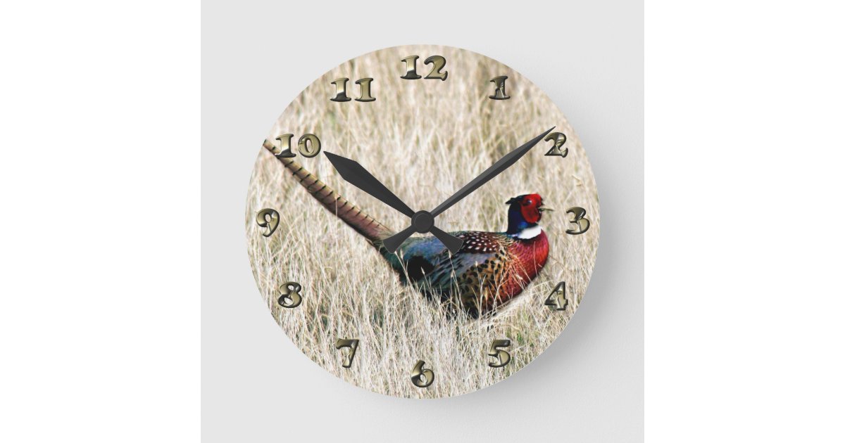 Ring Neck Pheasant in Meadow Round Clock | Zazzle