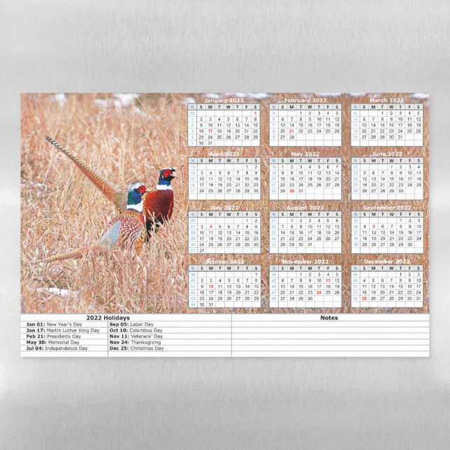 Ring-neck Pheasants 2022 Calendar Magnetic Dry Erase Sheet | Zazzle