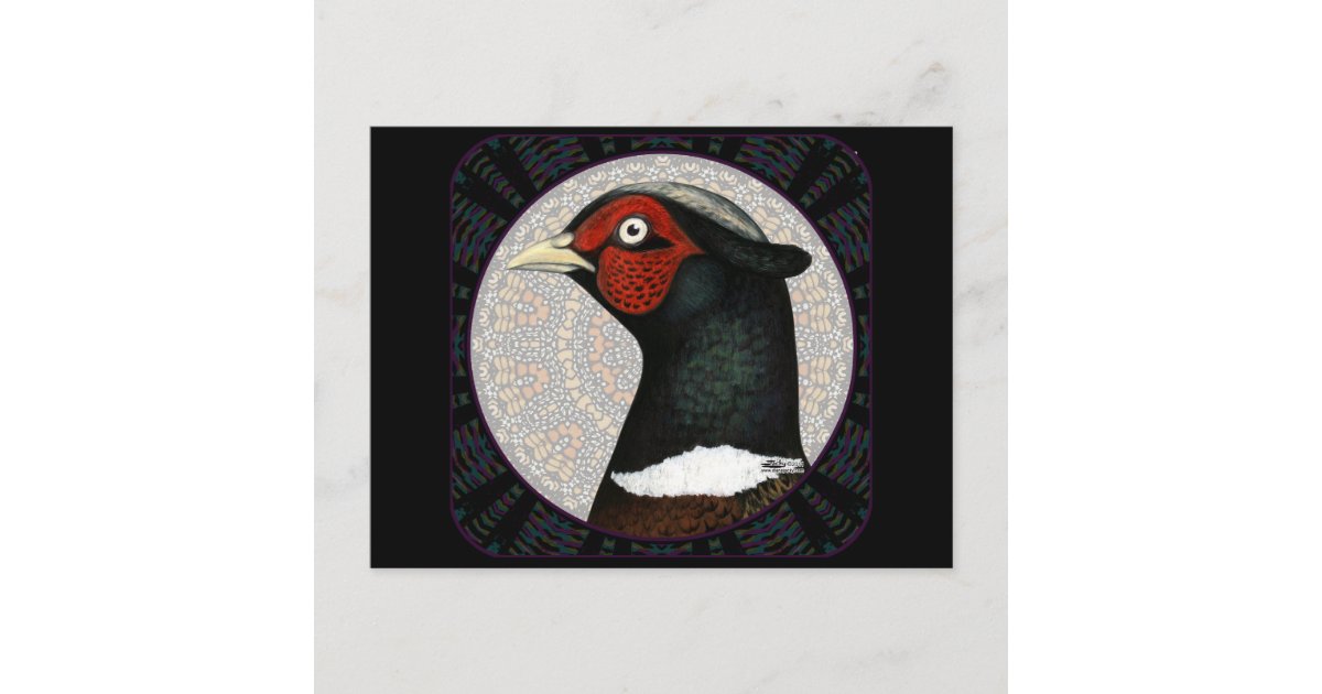 Ringneck Pheasant Circle Postcard | Zazzle
