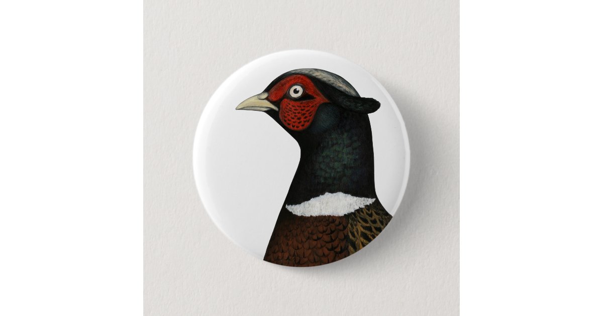 Ringneck Pheasant Head Pinback Button | Zazzle