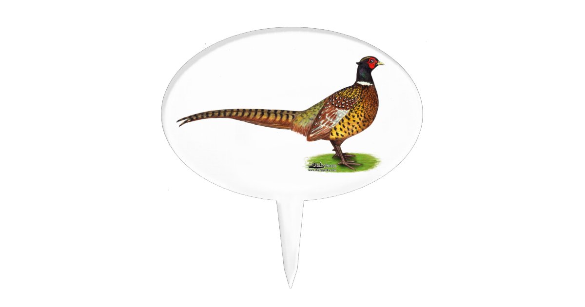 Ringneck Pheasant Rooster Cake Topper | Zazzle