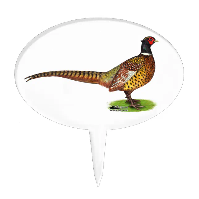 Ringneck Pheasant Rooster Cake Topper | Zazzle