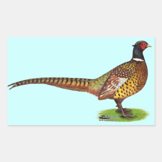 Pheasant Hunting Stickers | Zazzle