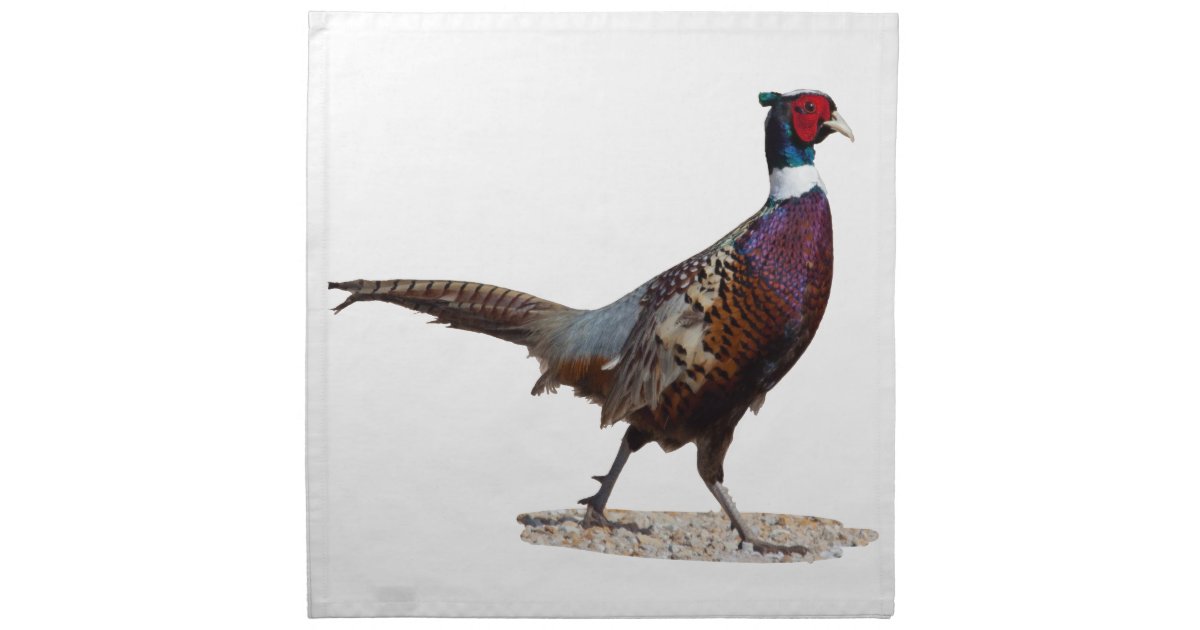 Ringnecked Pheasant Cloth Napkin | Zazzle