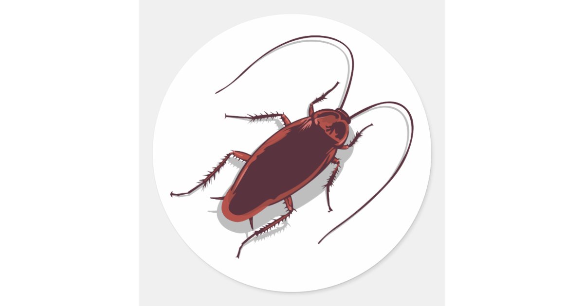 Roach! Classic Round Sticker | Zazzle