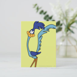ROAD RUNNER™ Color Postcard | Zazzle