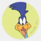 ROAD RUNNER™ Face Classic Round Sticker | Zazzle
