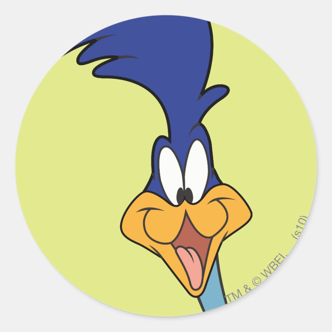 ROAD RUNNER™ Face Classic Round Sticker | Zazzle