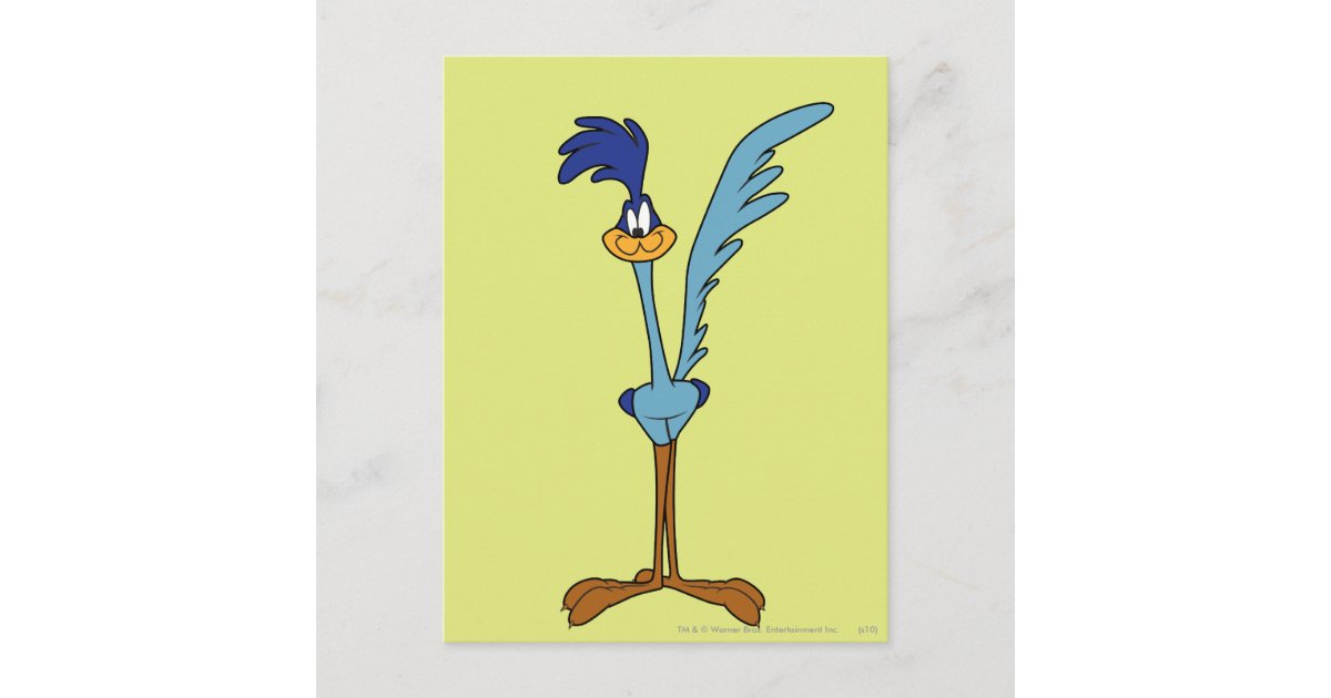 ROAD RUNNER™ in Color Postcard | Zazzle