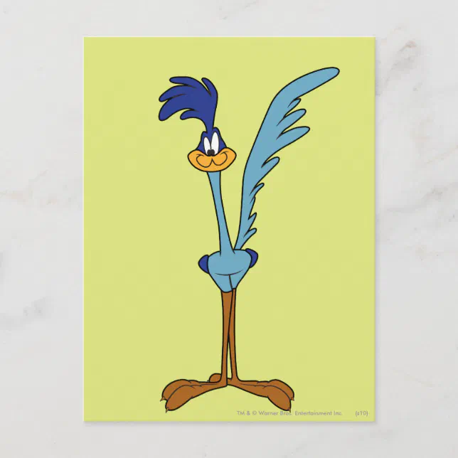 ROAD RUNNER™ in Color Postcard | Zazzle