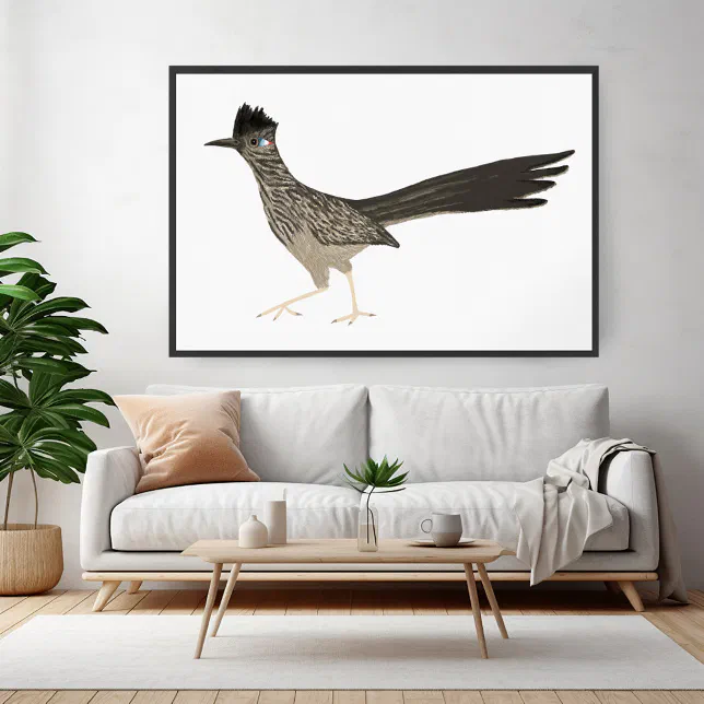 Roadrunner Colored Pencil drawing on white Poster | Zazzle