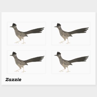 Roadrunner colored pencil drawing rectangular sticker | Zazzle