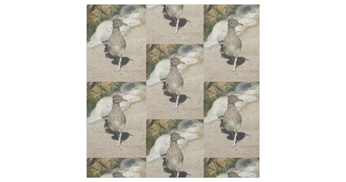 Roadrunner Fabric | Zazzle