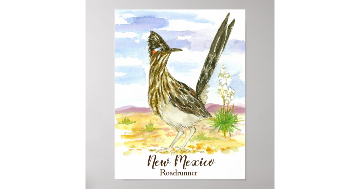 Roadrunner New Mexico State Bird Poster | Zazzle