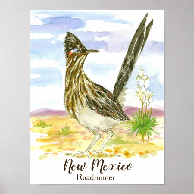 Roadrunner New Mexico State Bird Poster | Zazzle