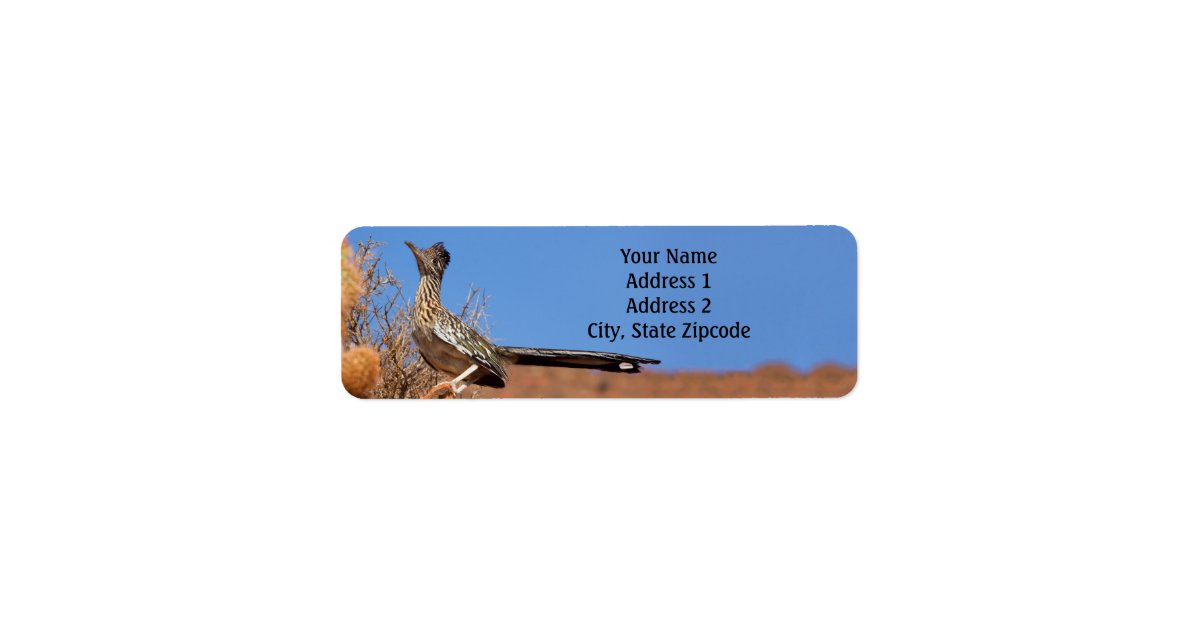 Roadrunner Return Address Label | Zazzle