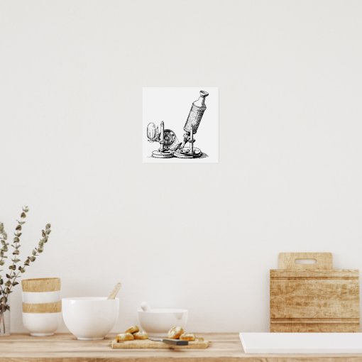 Robert Hooke's Microscope Poster | Zazzle