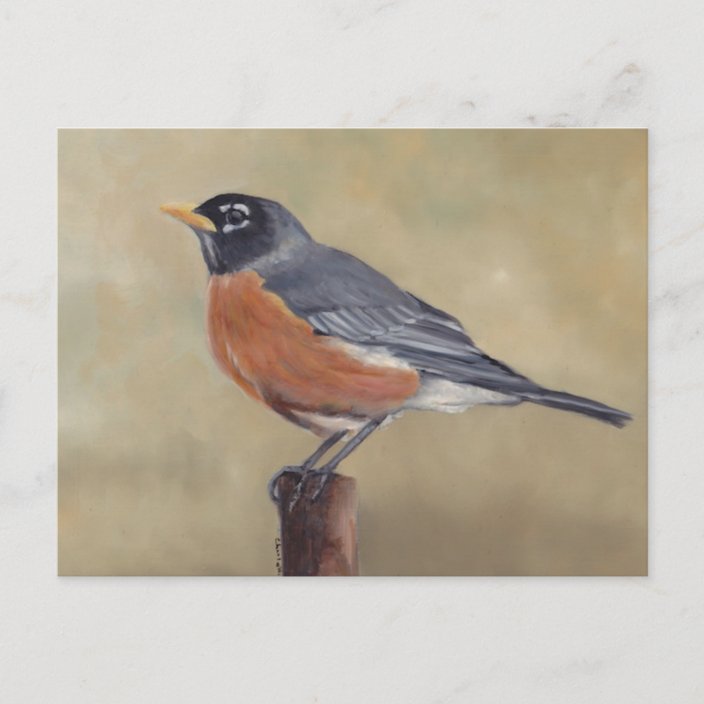 Robin Bird Art Postcard | Zazzle.com