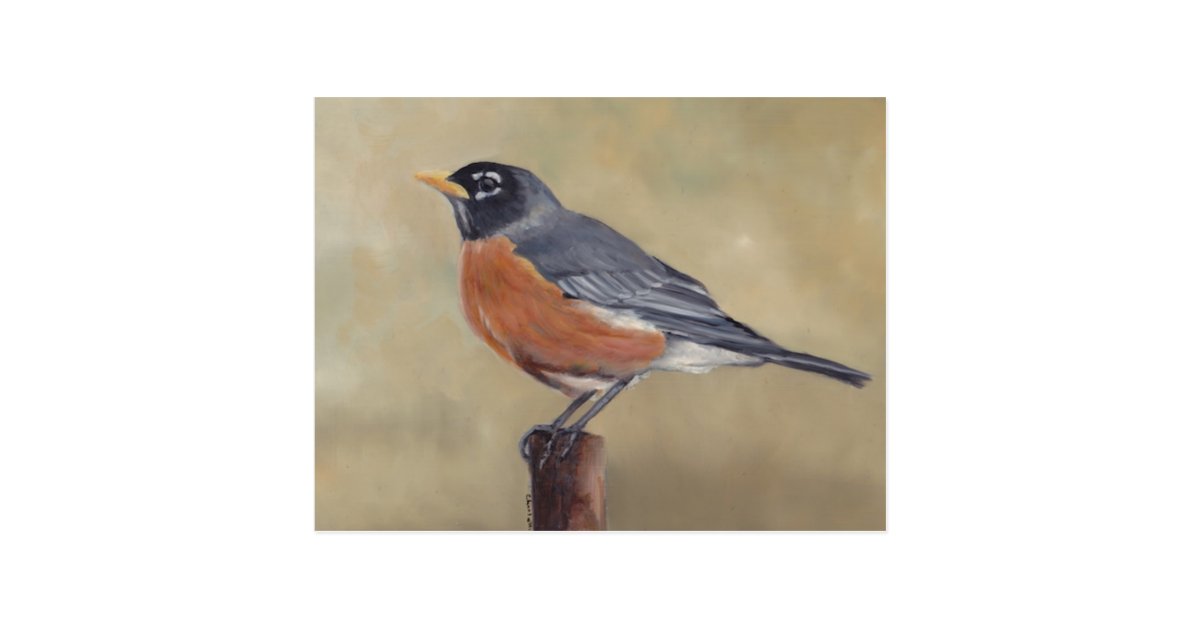Robin Bird Art Postcard | Zazzle.com