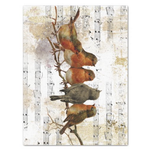Robin Bird Sheet Music Gold Silver Notes Decoupage | Zazzle