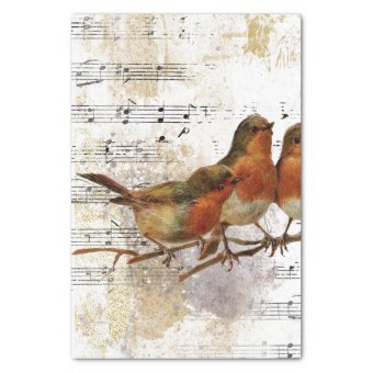 Robin Bird Sheet Music Gold Silver Notes Decoupage | Zazzle