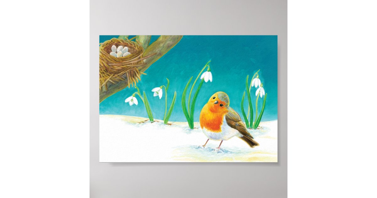 Robin Bird, snow & snowdrops Illustration Poster | Zazzle