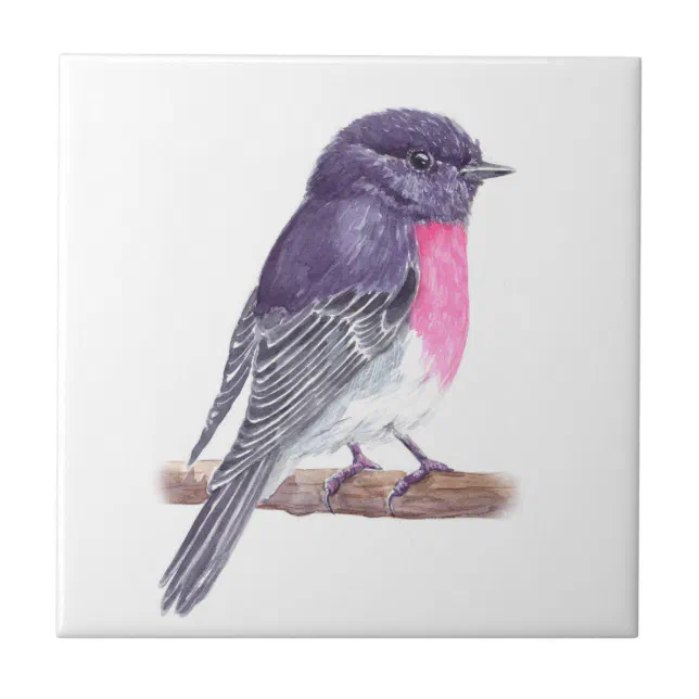 Robin Ceramic Tile | Zazzle