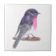 Robin Ceramic Tile | Zazzle
