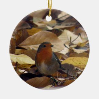 Robin Ornaments & Keepsake Ornaments | Zazzle